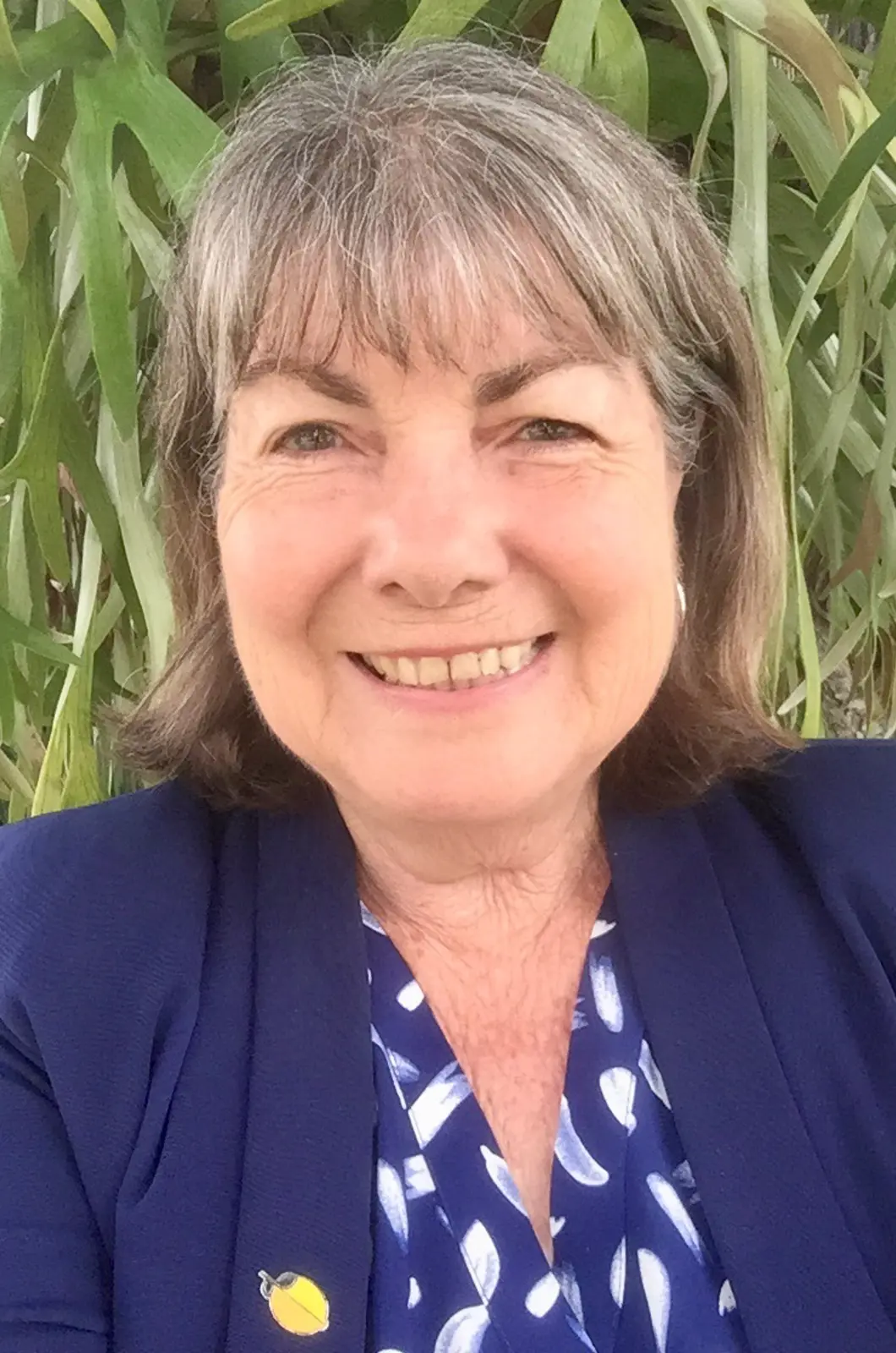 The Mayor and City Council | Lemon Grove