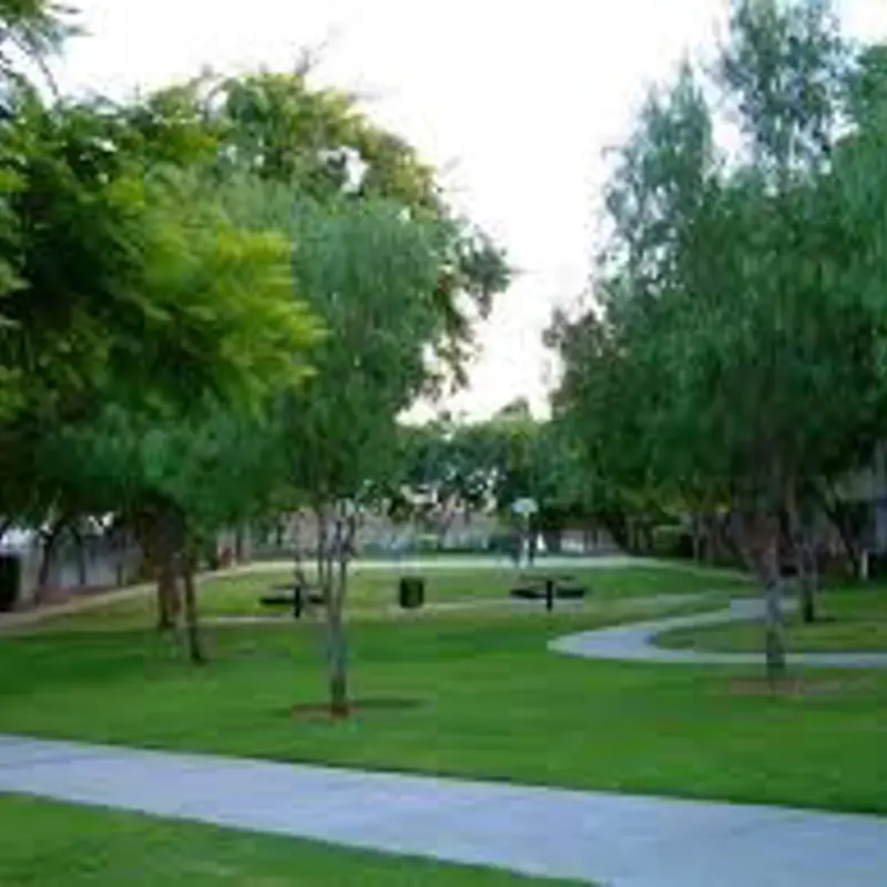Parks | Lemon Grove