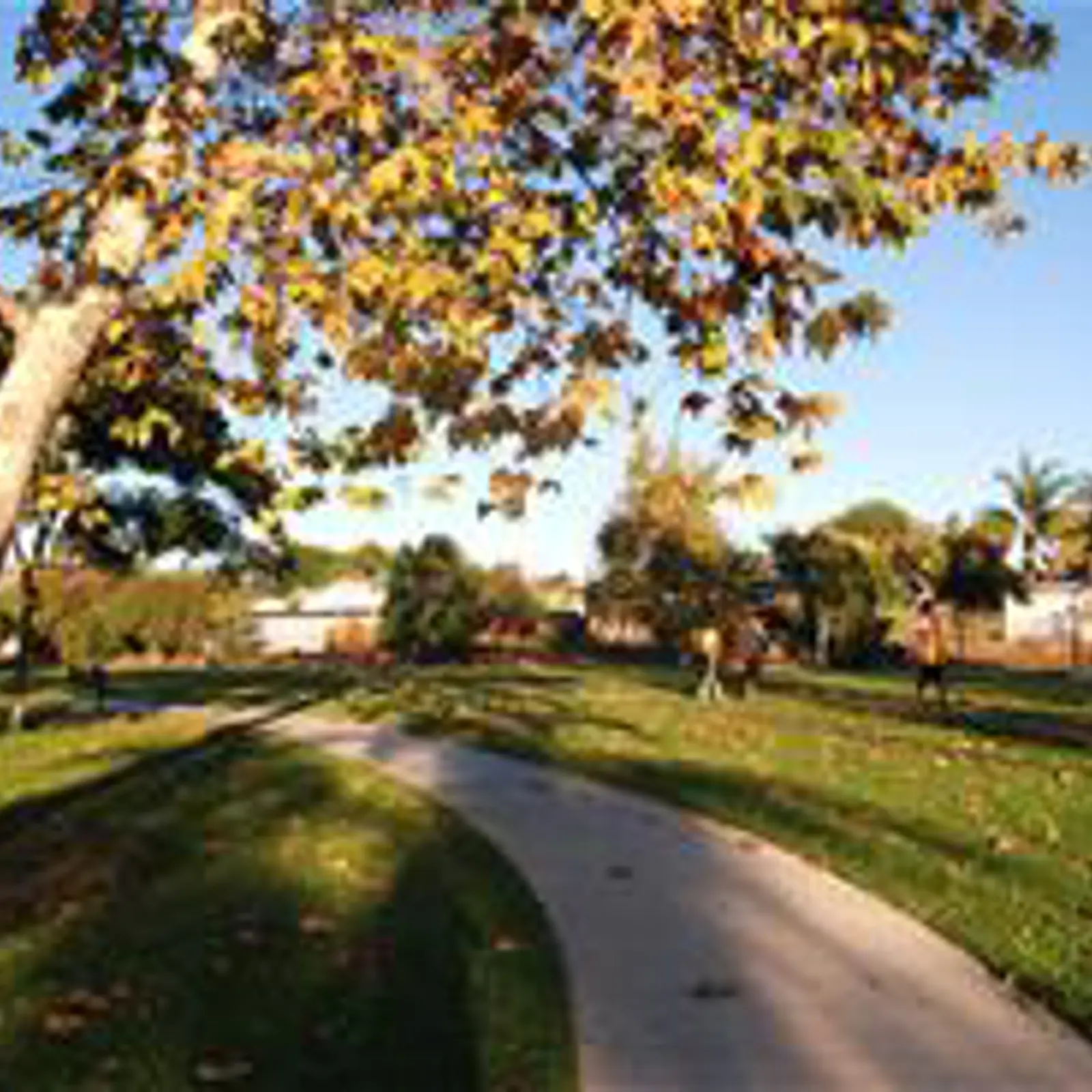 Welcome New Residents! | Lemon Grove